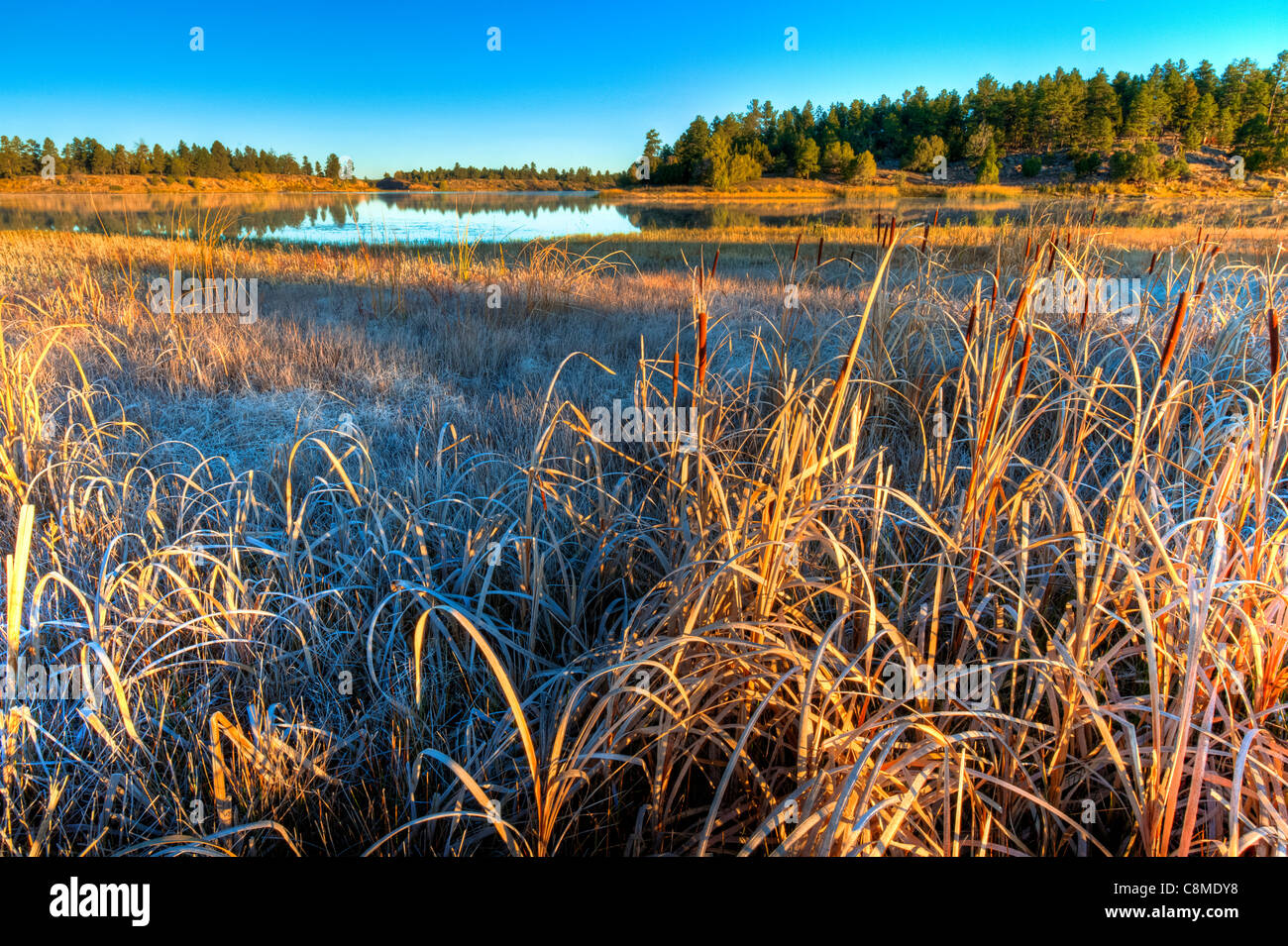 A beautiful morning at Fool Hollow State Park near Show Low, Arizona ...