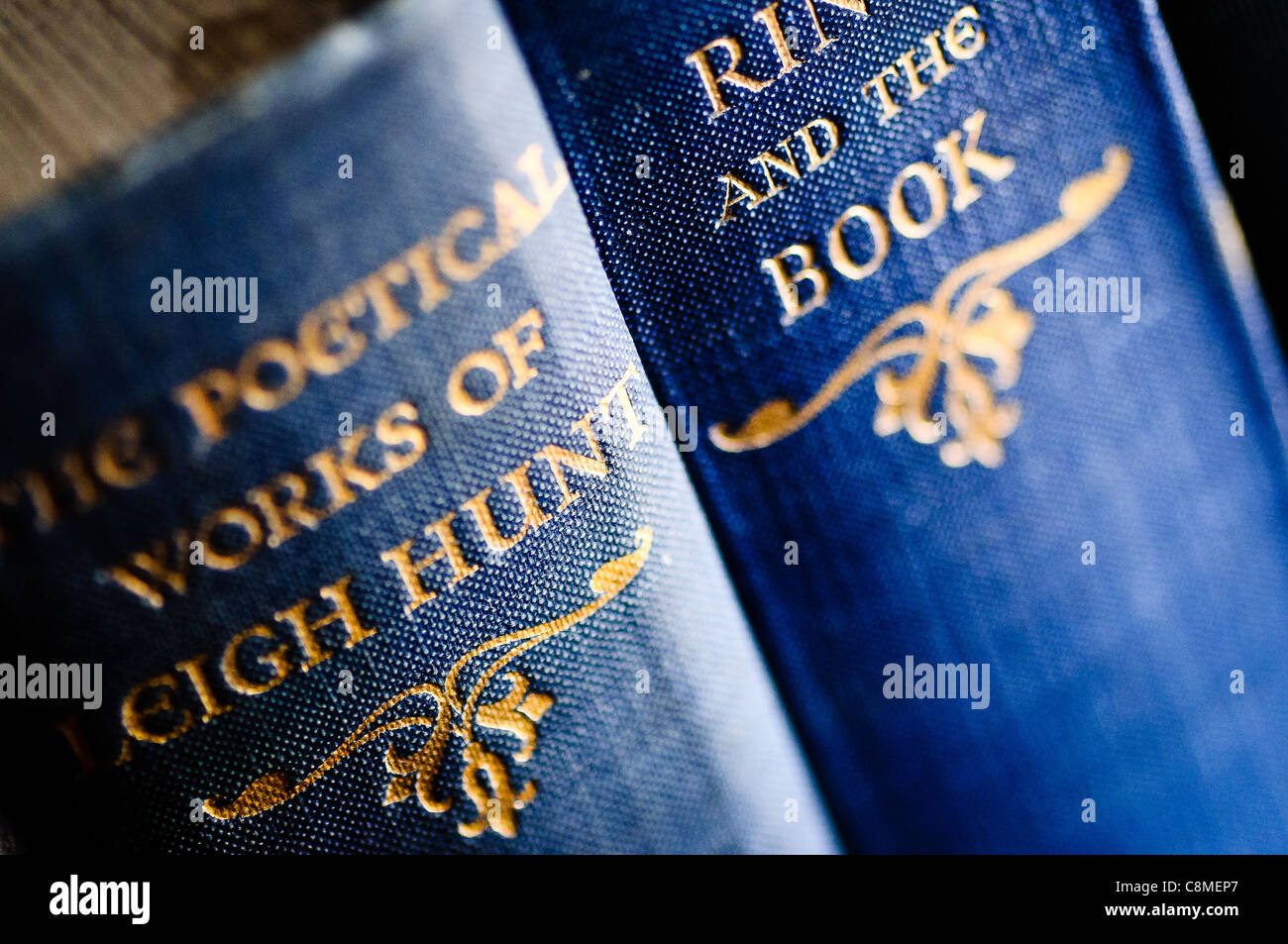 I line of old well read books Stock Photo - Alamy
