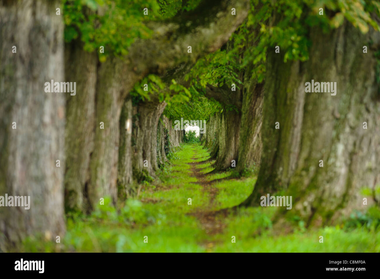 Alley line hi-res stock photography and images - Alamy