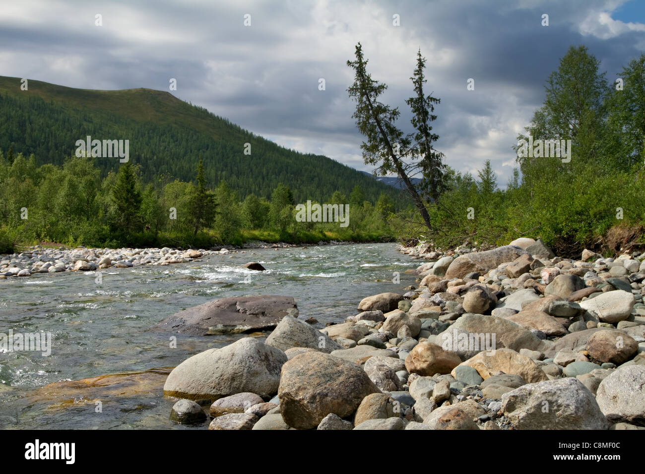 The river Manaraga. National park "Yugyd va". Taiga forest. Polar Ural ...
