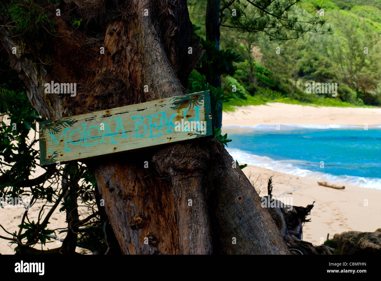 Sign at the entrance of Molowaa beach, north shore of Kauai Stock Photo ...