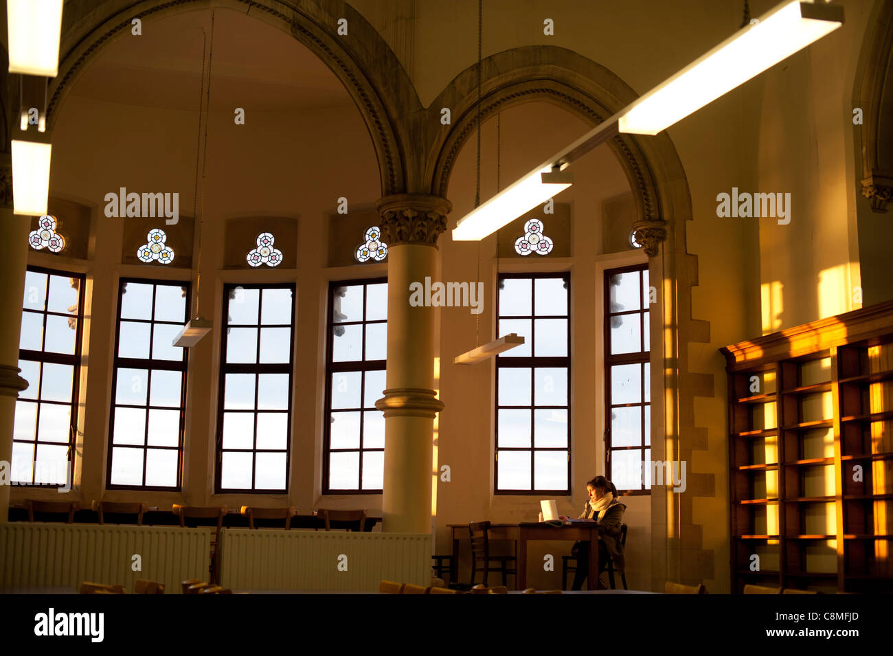 Working in a library hi-res stock photography and images - Alamy