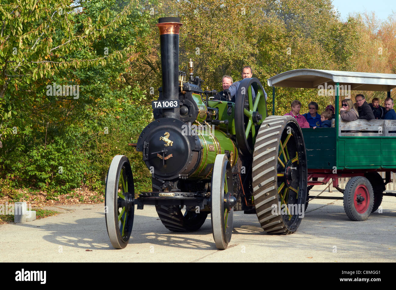 Steam traction engine hauling a trailer giving rides around an ...