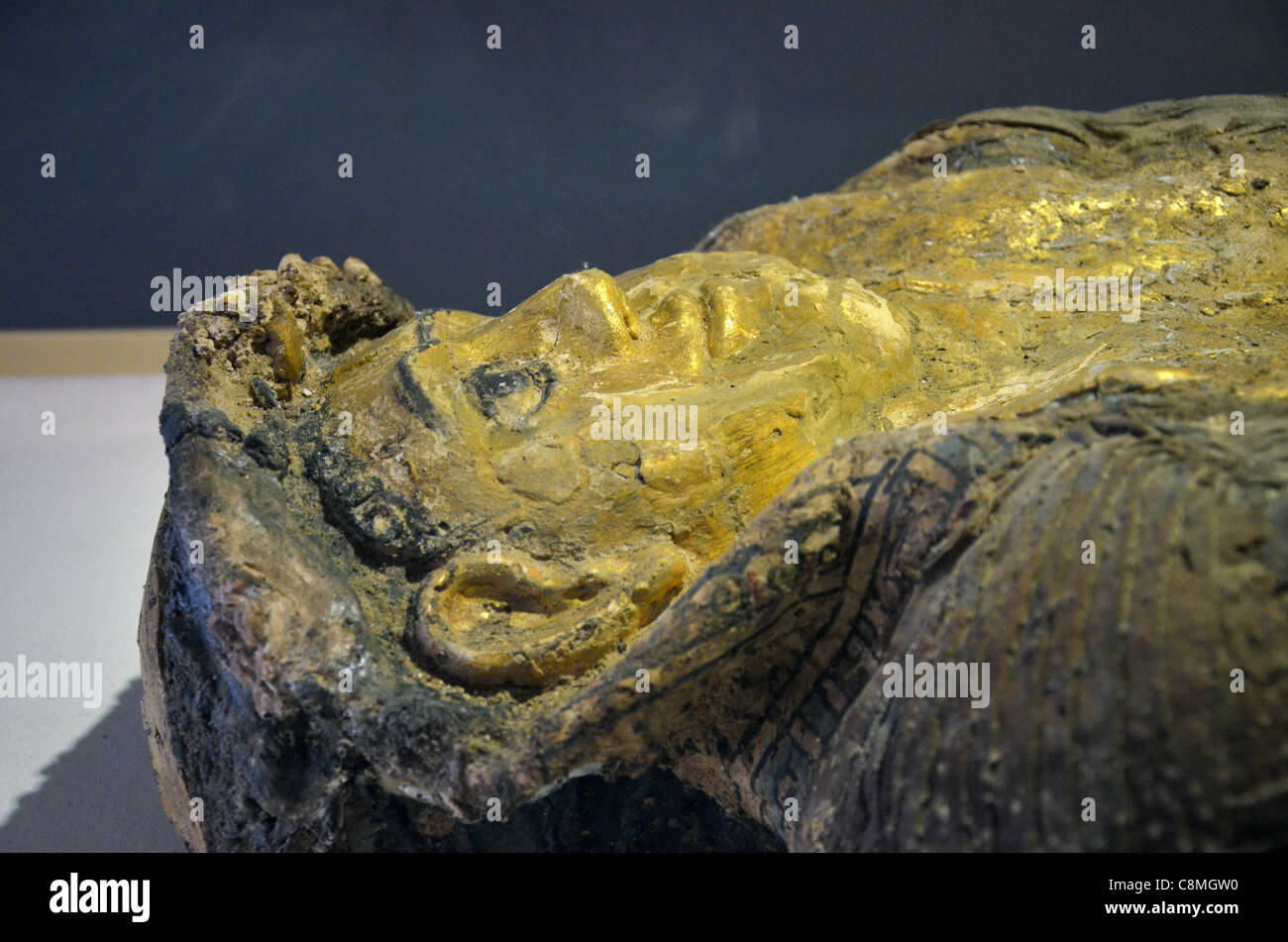 Mummy cache hi-res stock photography and images - Alamy