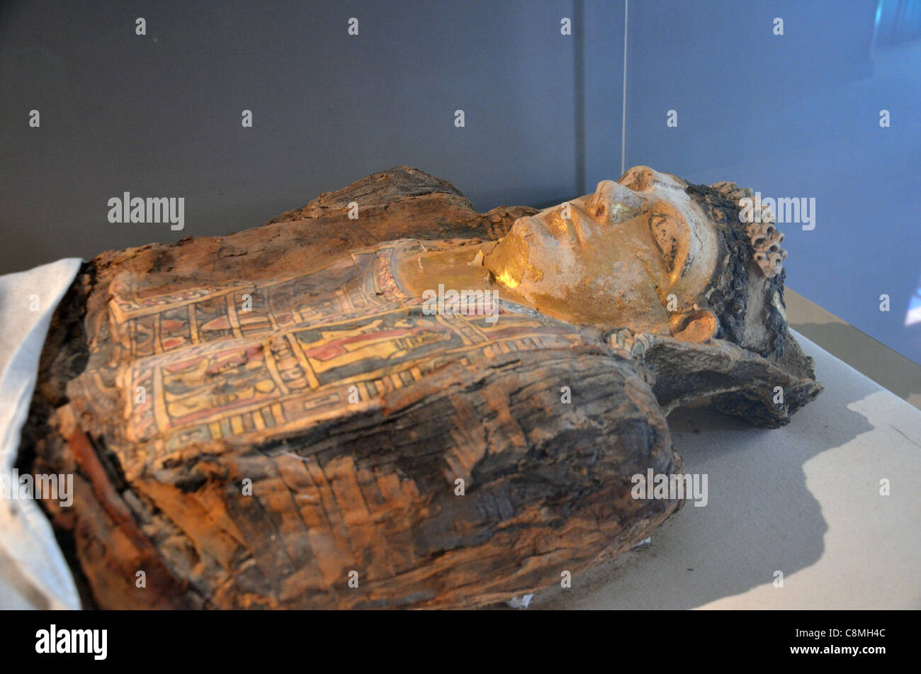 Mummy cache hi-res stock photography and images - Alamy