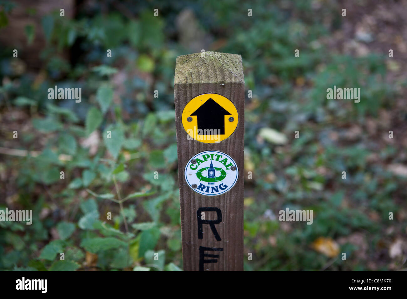 Signpost for London's Capital Ring walk ways Stock Photo - Alamy