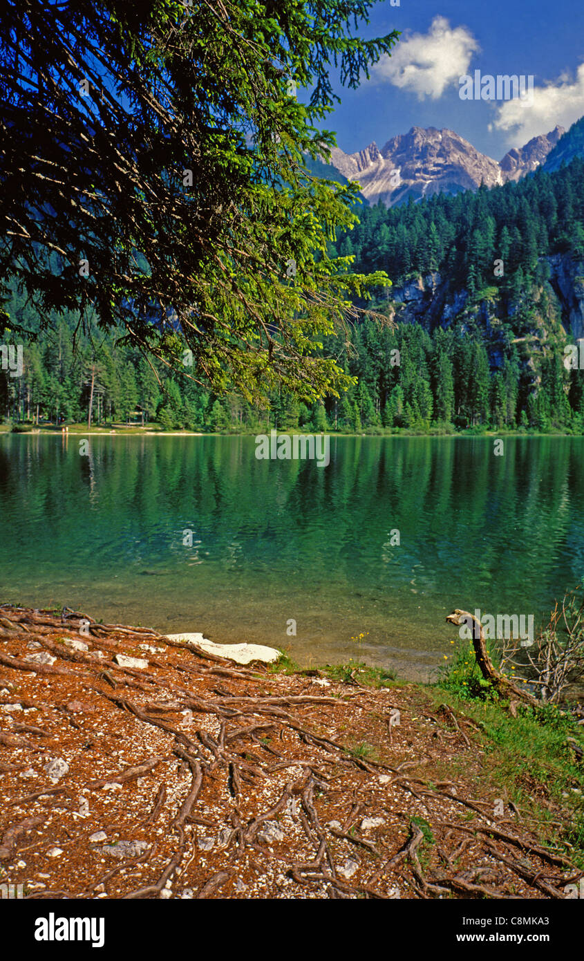 Tovel lake alpine, near Cles of Trent Stock Photo - Alamy