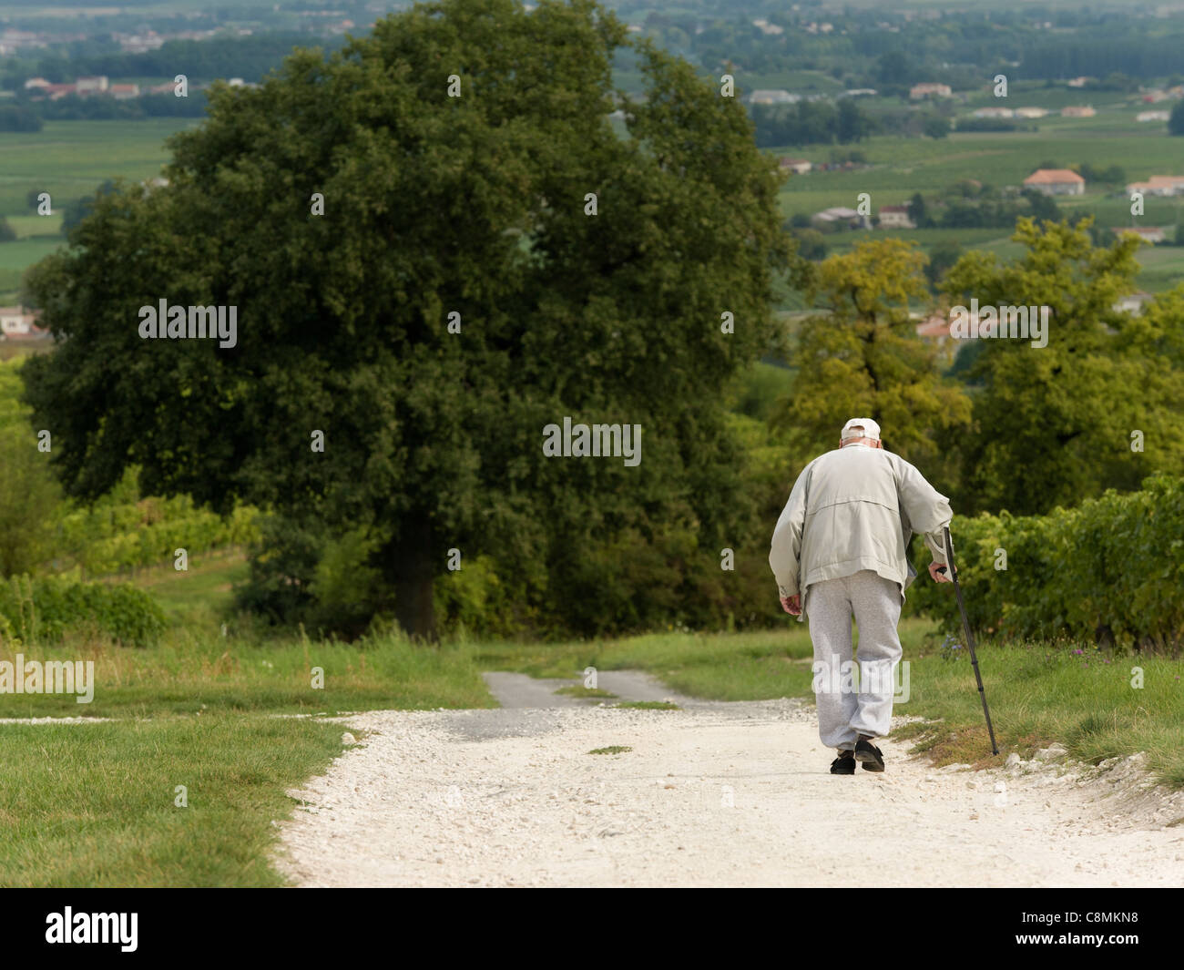 Senior man walking down a road Stock Photo - Alamy