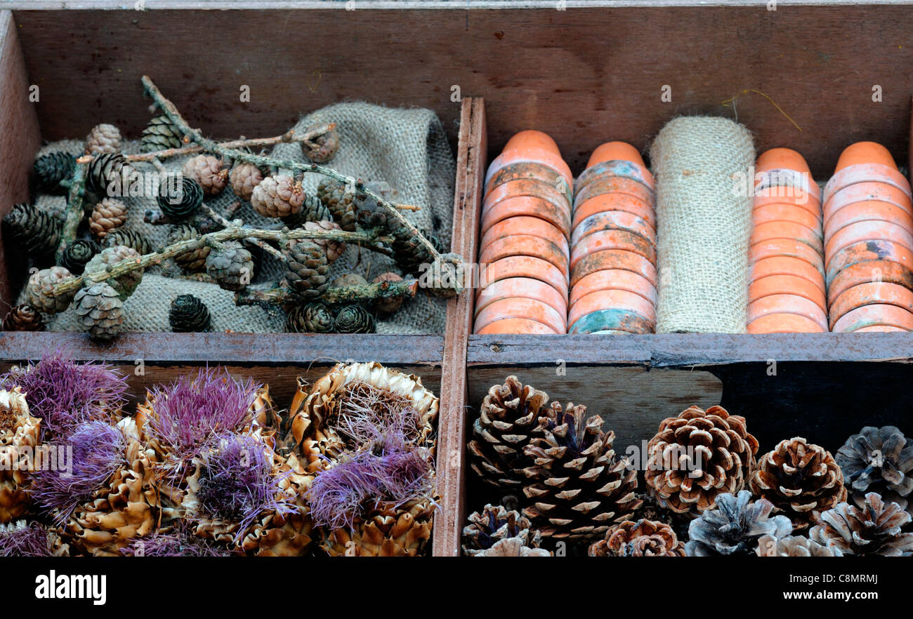 autumn autumnal display season seasonal garden design designing ...