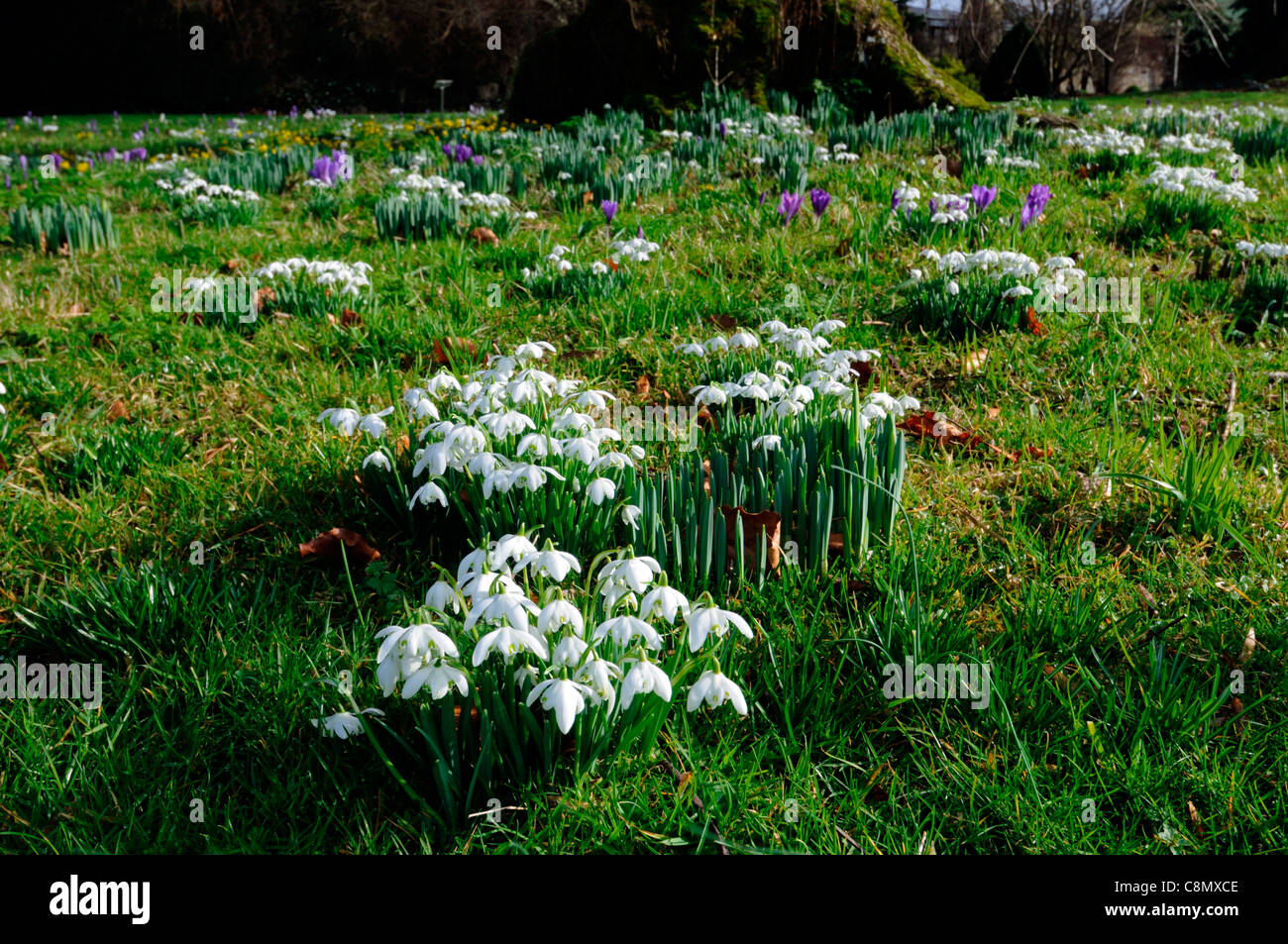 Ground level hi-res stock photography and images - Alamy