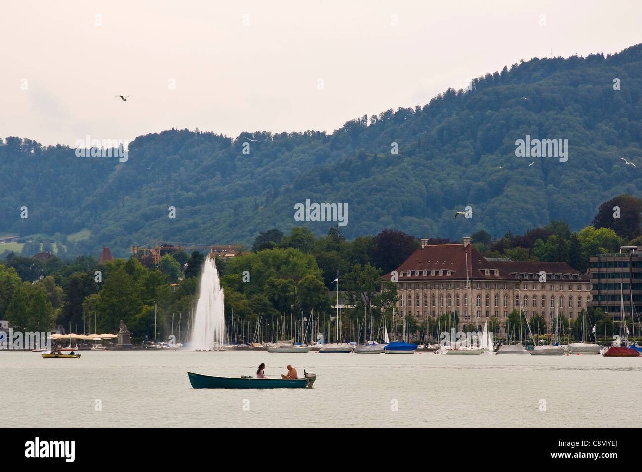 Landscape, Zurich, Switzerland Stock Photo - Alamy