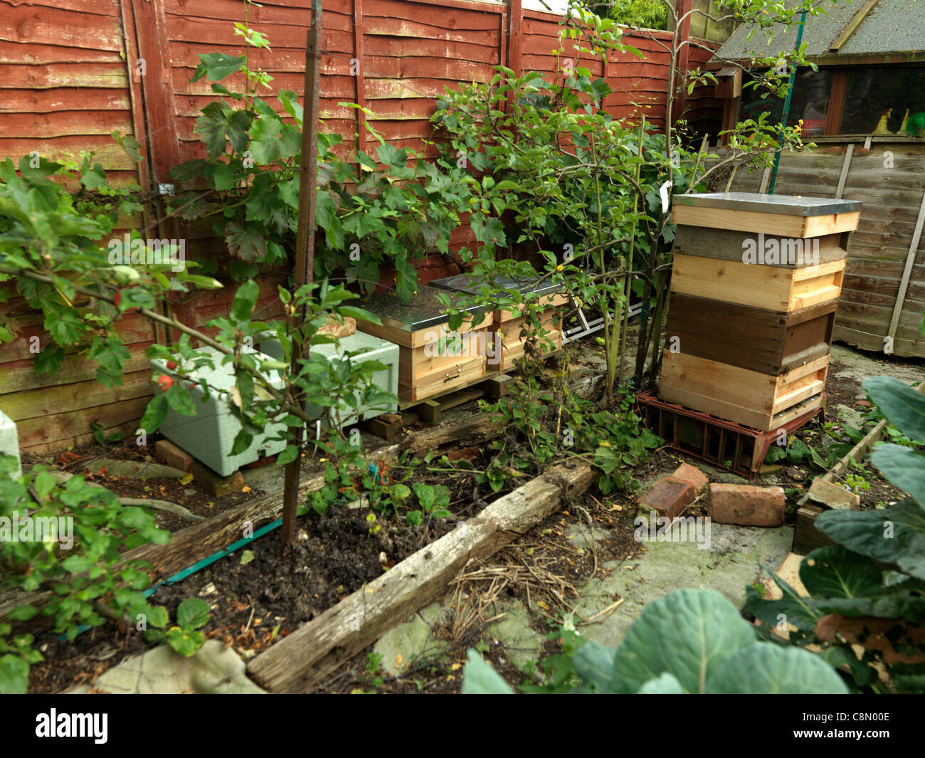 An Apiary By Vegetable Patch England Stock Photo - Alamy