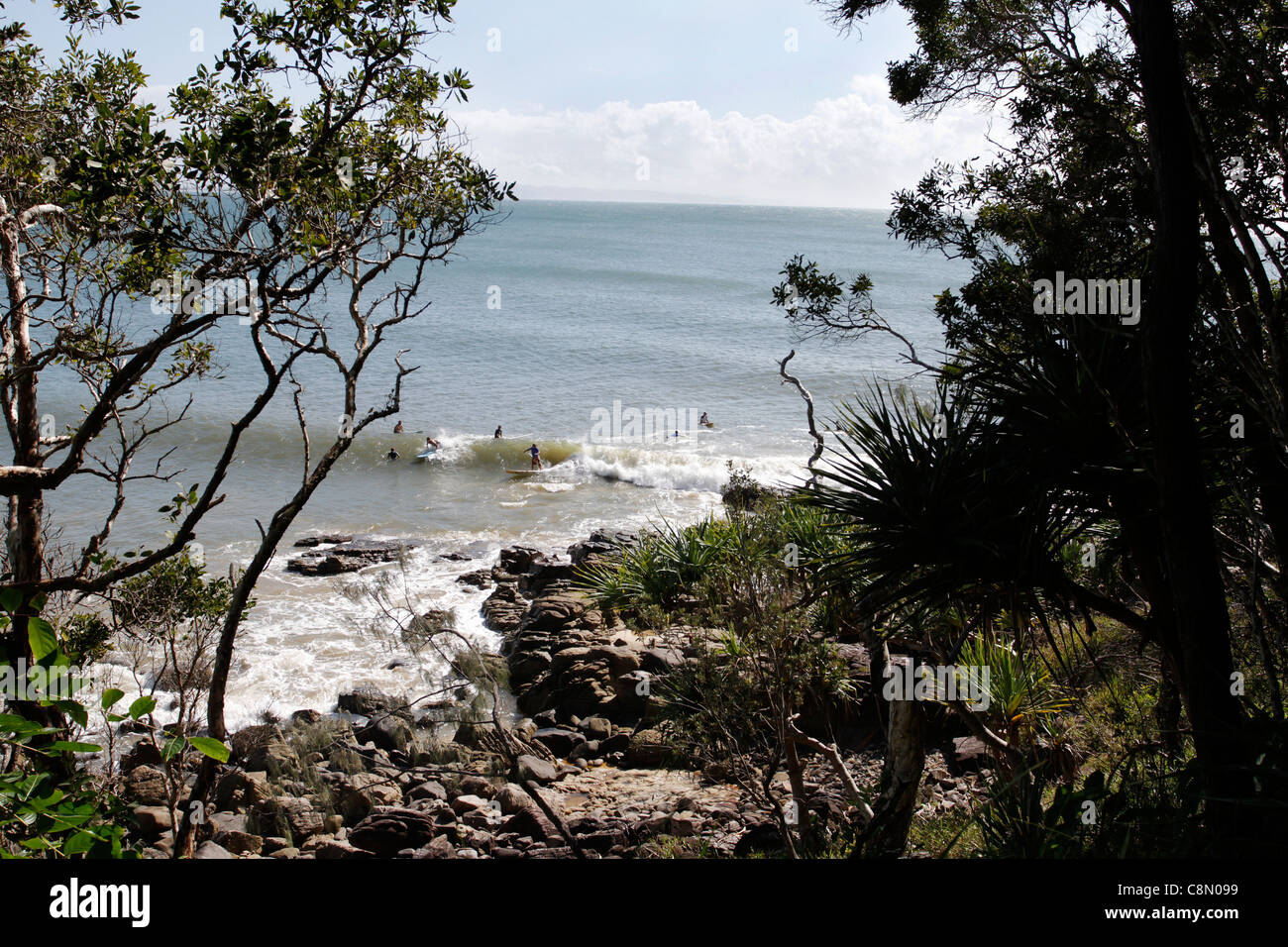 Noosa national park hi-res stock photography and images - Alamy