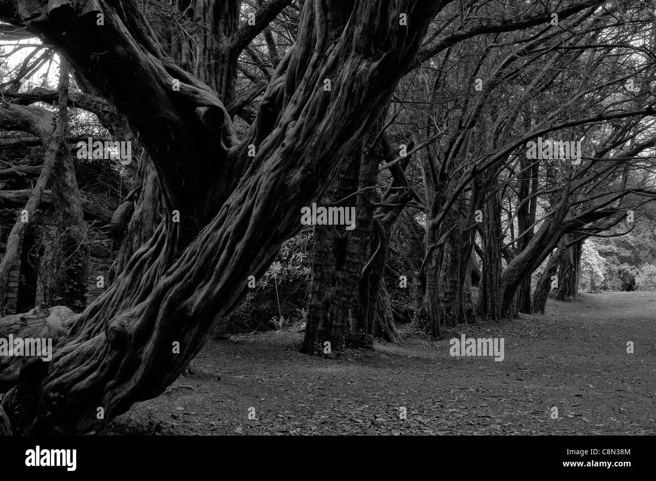 Conversion pathway hi-res stock photography and images - Alamy