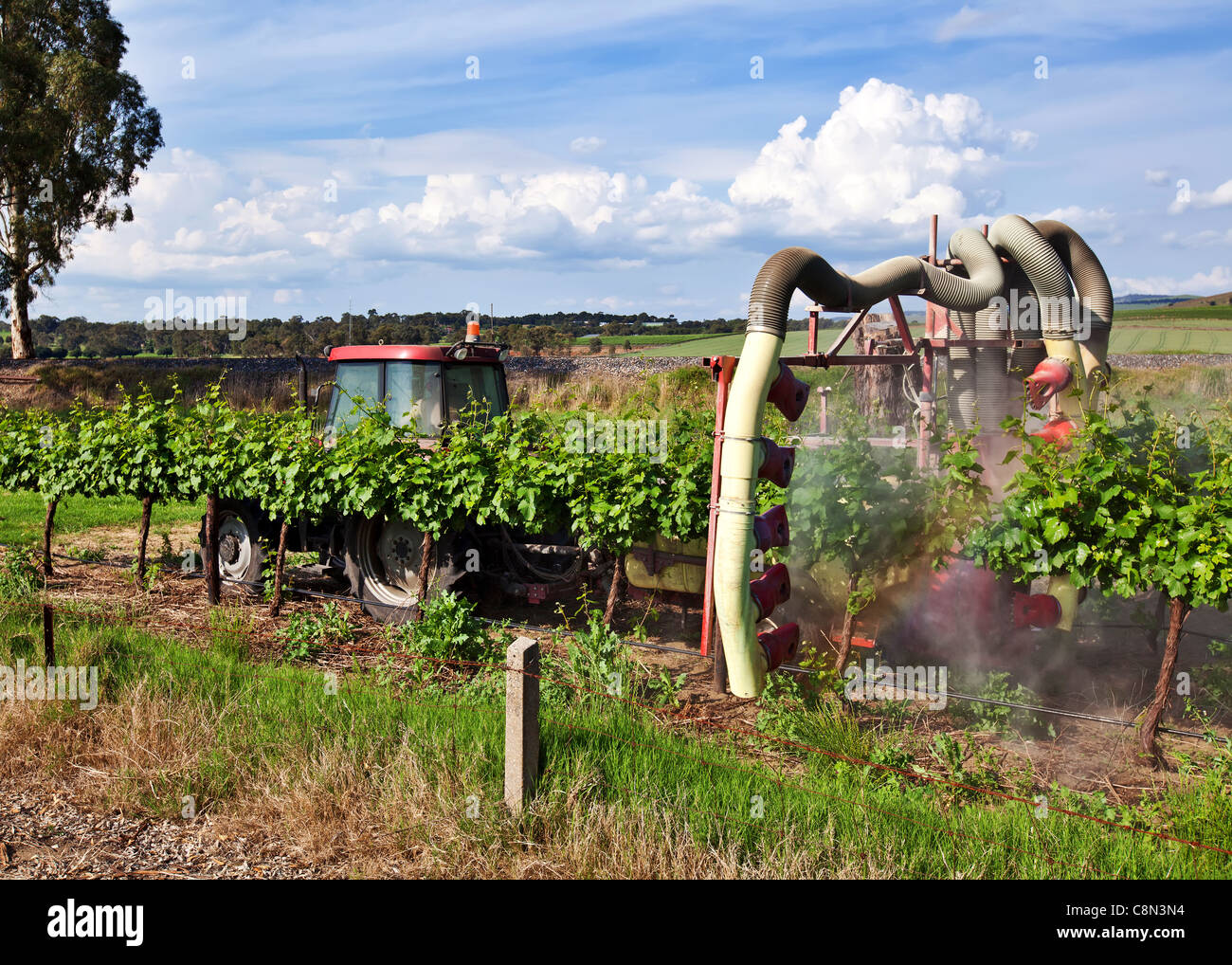 Grape spraying hi-res stock photography and images - Alamy