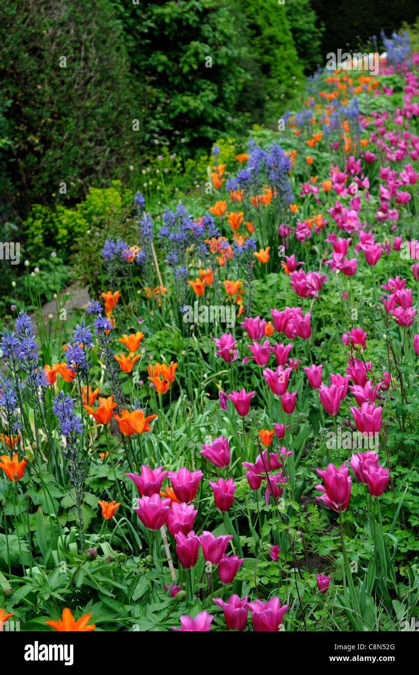 Spring border hi-res stock photography and images - Alamy