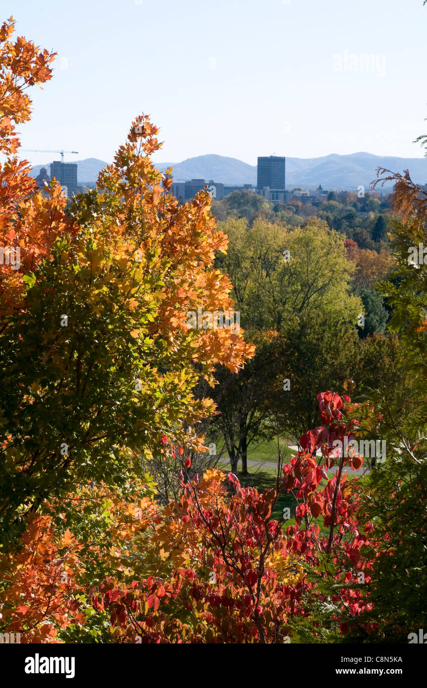 Asheville Fall