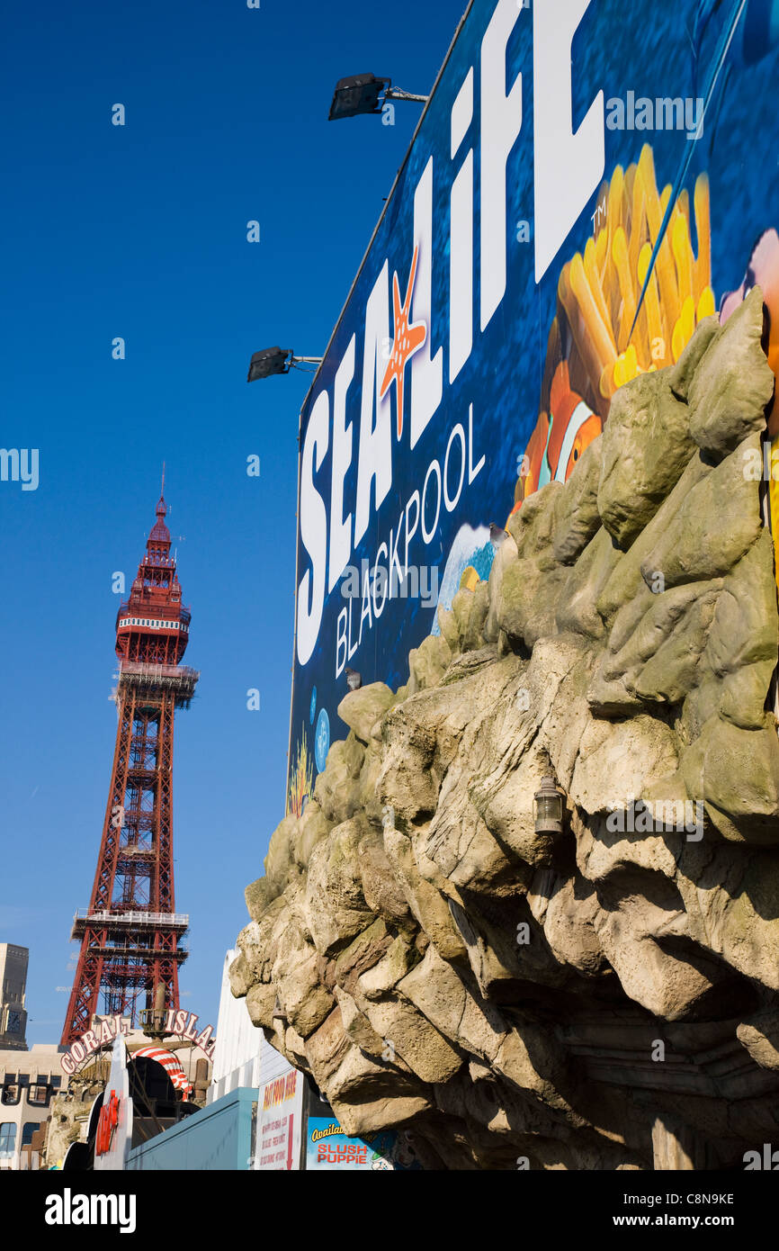Sea life centre blackpool hi-res stock photography and images - Alamy