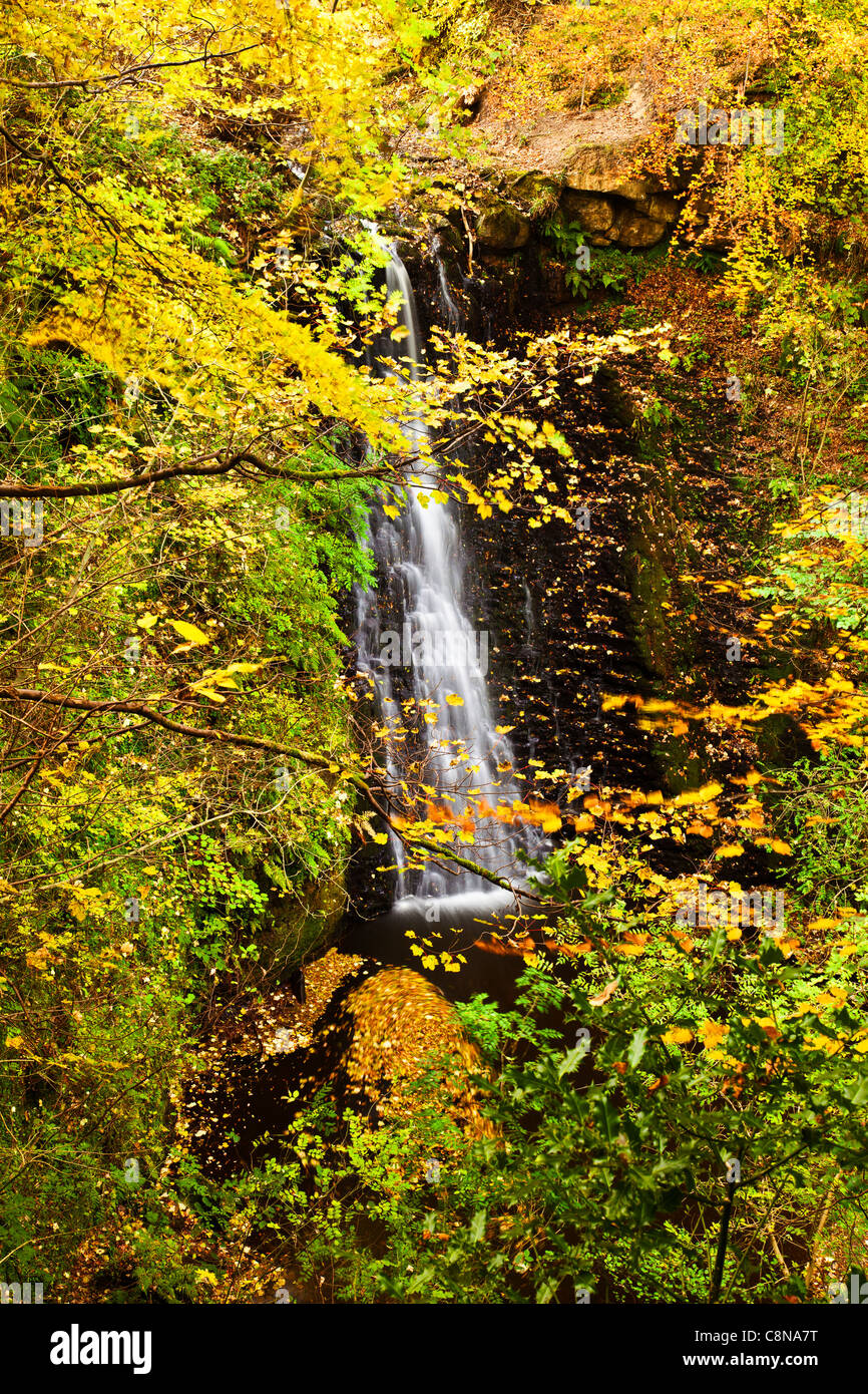 Falling foss whitby england hi-res stock photography and images - Alamy