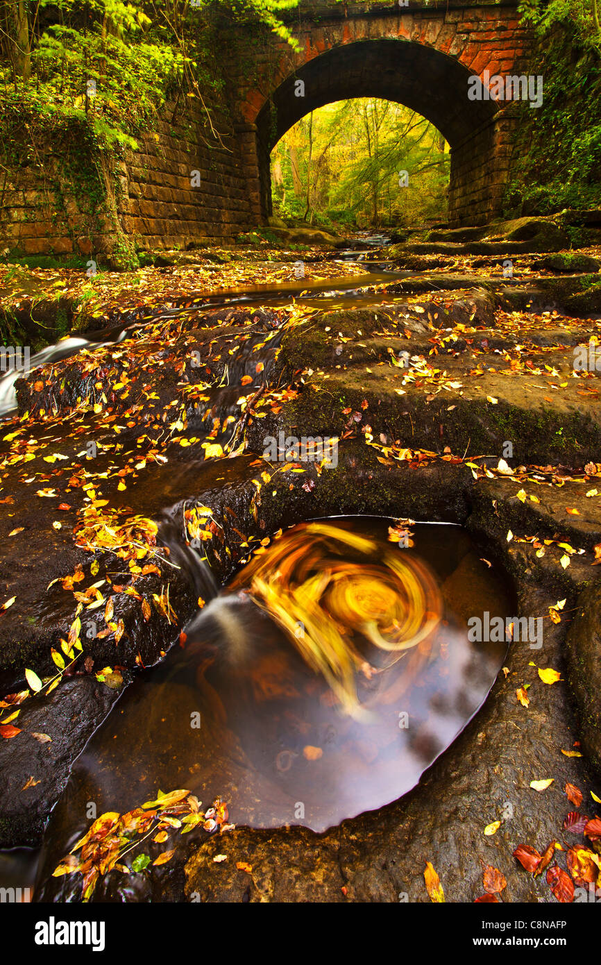 Whitby rock hi-res stock photography and images - Alamy