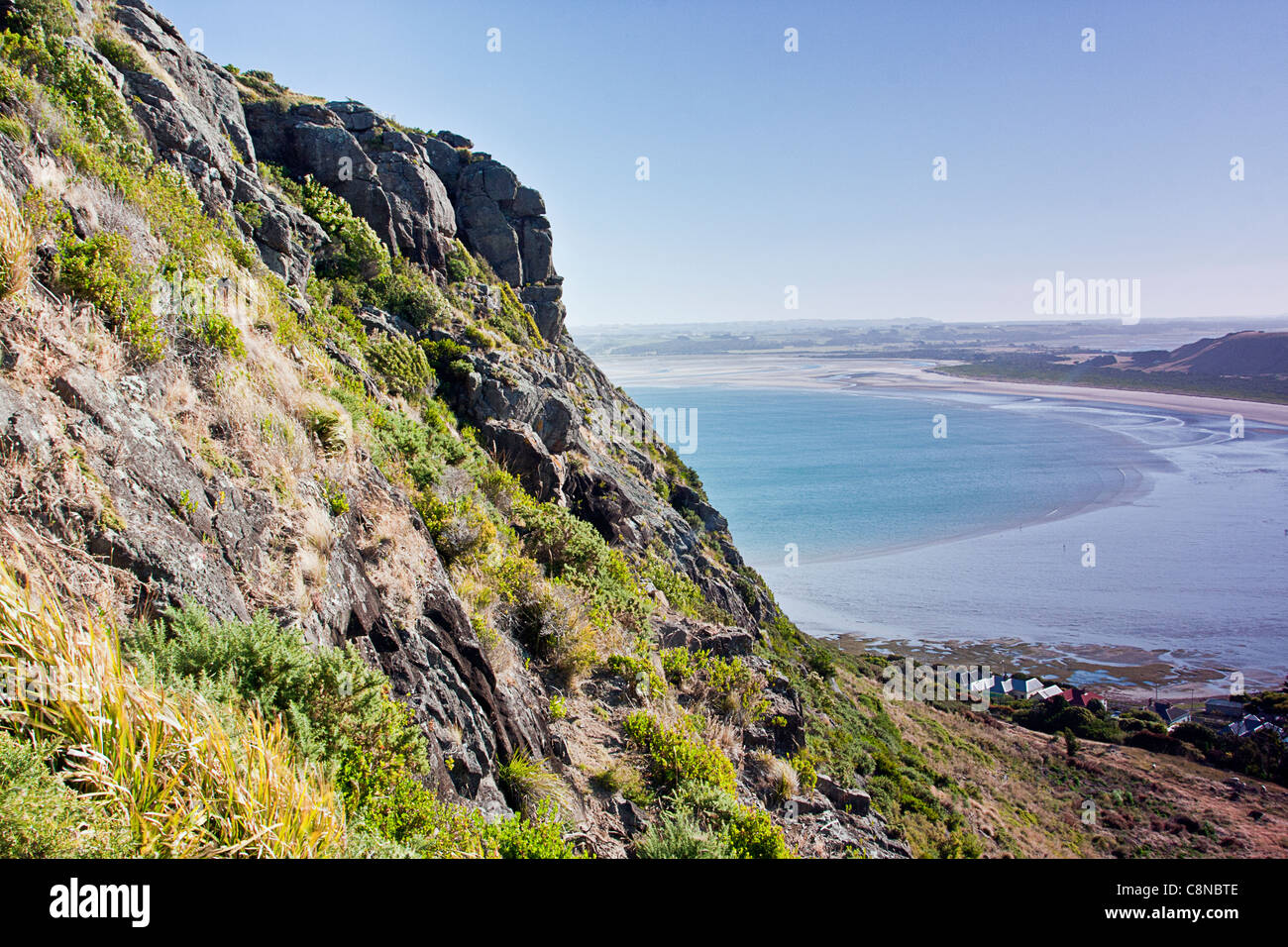 The nut tasmania hi-res stock photography and images - Alamy