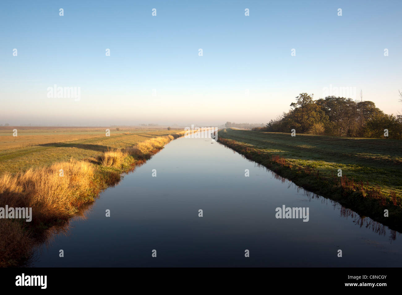 Old bedford river in flood hi-res stock photography and images - Alamy