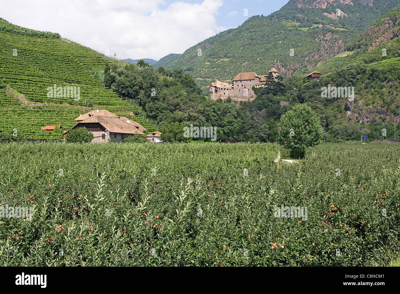 Castel roncolo alto adige hi-res stock photography and images - Alamy