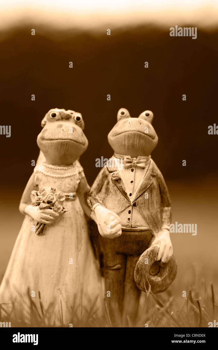 Bride and Bridegroom couple of frogs close up Stock Photo - Alamy