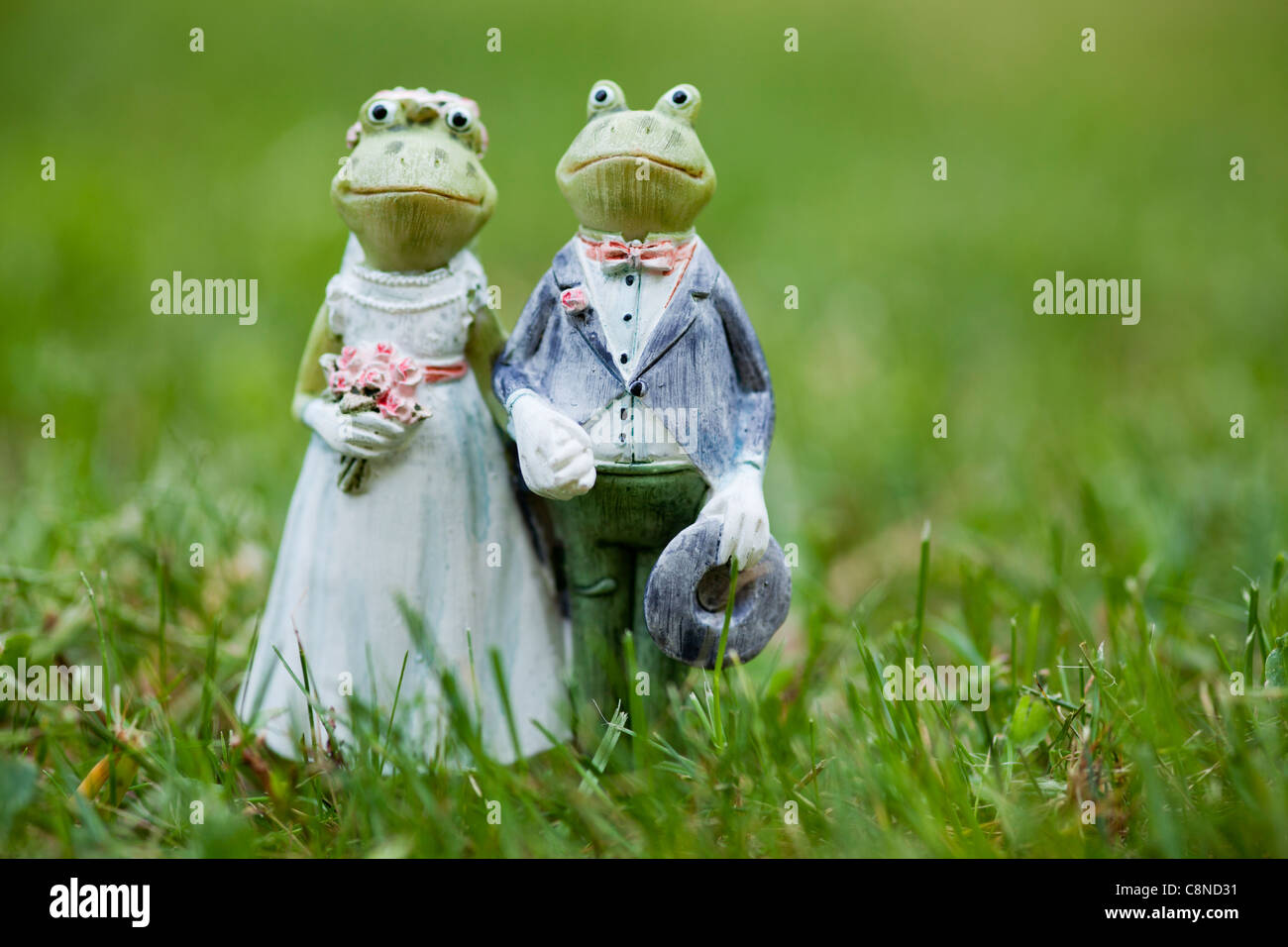 Married frog couple in the green Stock Photo - Alamy