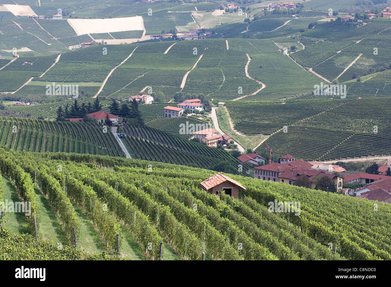 Vineyards hills in barolo hi-res stock photography and images - Alamy