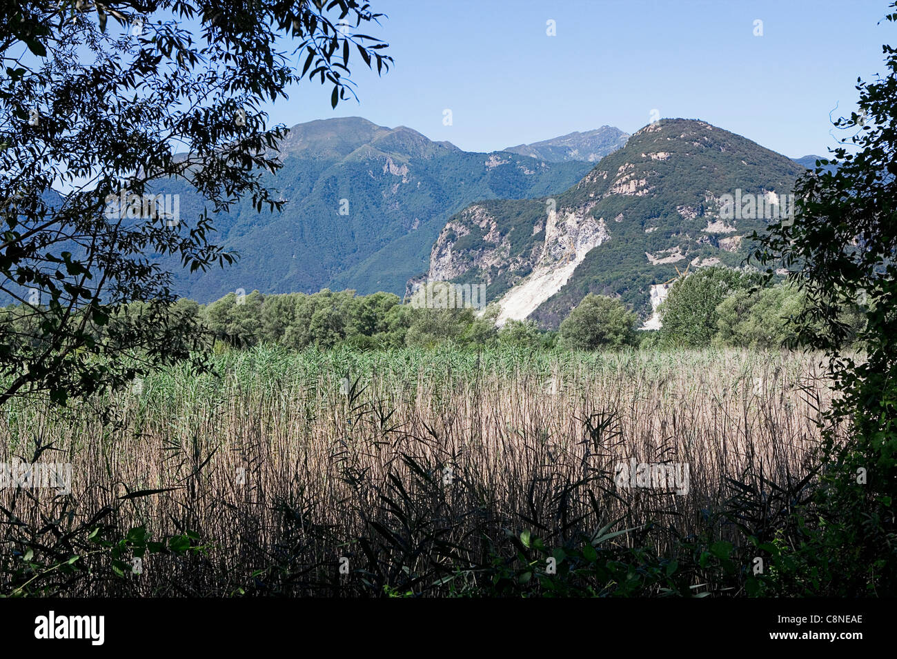 Riserva naturale di fondo toce hi-res stock photography and images - Alamy