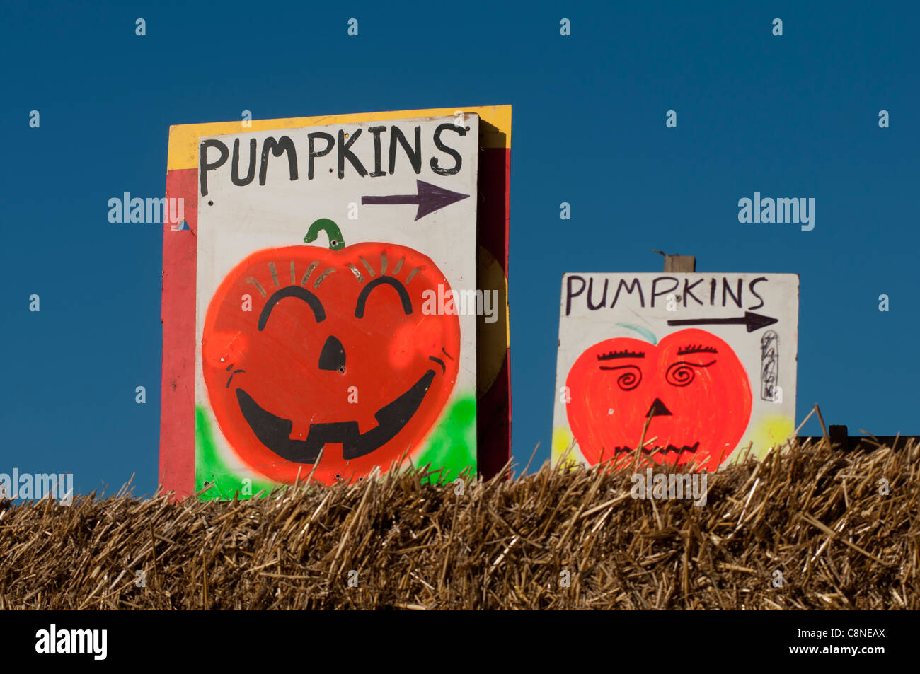 Pumpkins for sale sign hi-res stock photography and images - Alamy