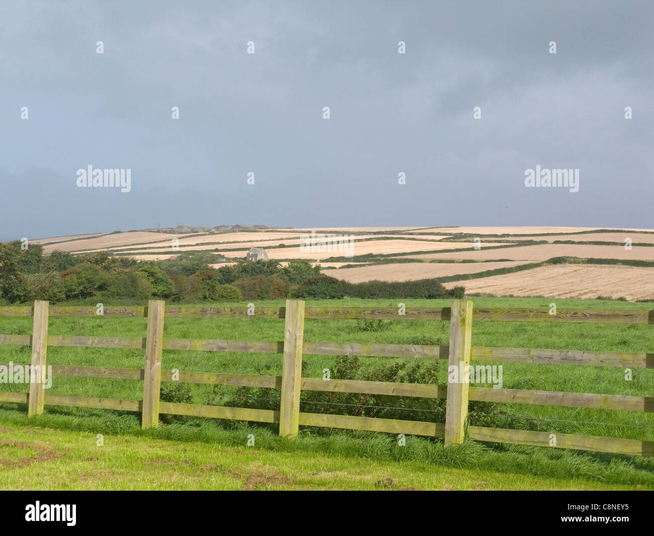 Great Britain, England, Cornwall, Padstow, view of fence and fields ...