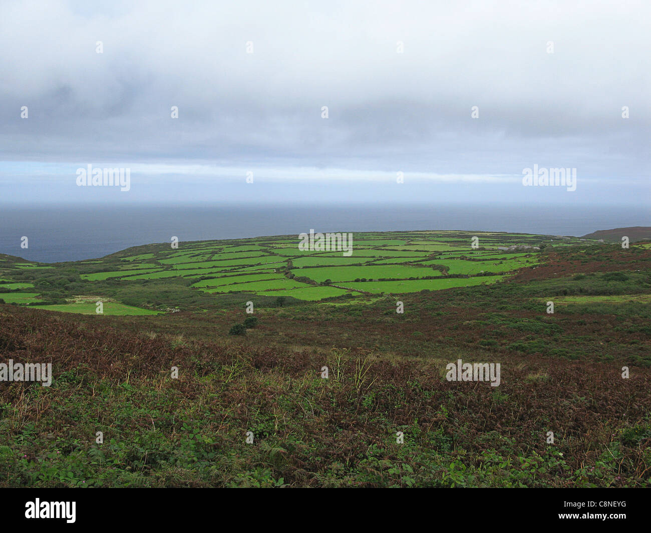 Great Britain, England, Cornwall, fields on the North Cornish coast ...