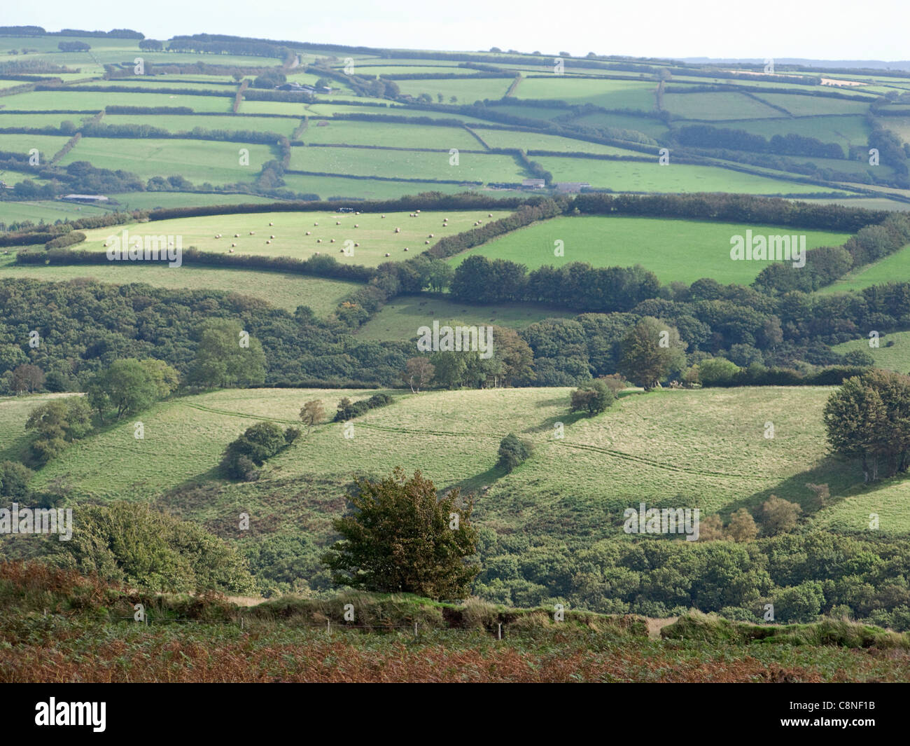 Great Britain, England, Exmoor landscape Stock Photo - Alamy