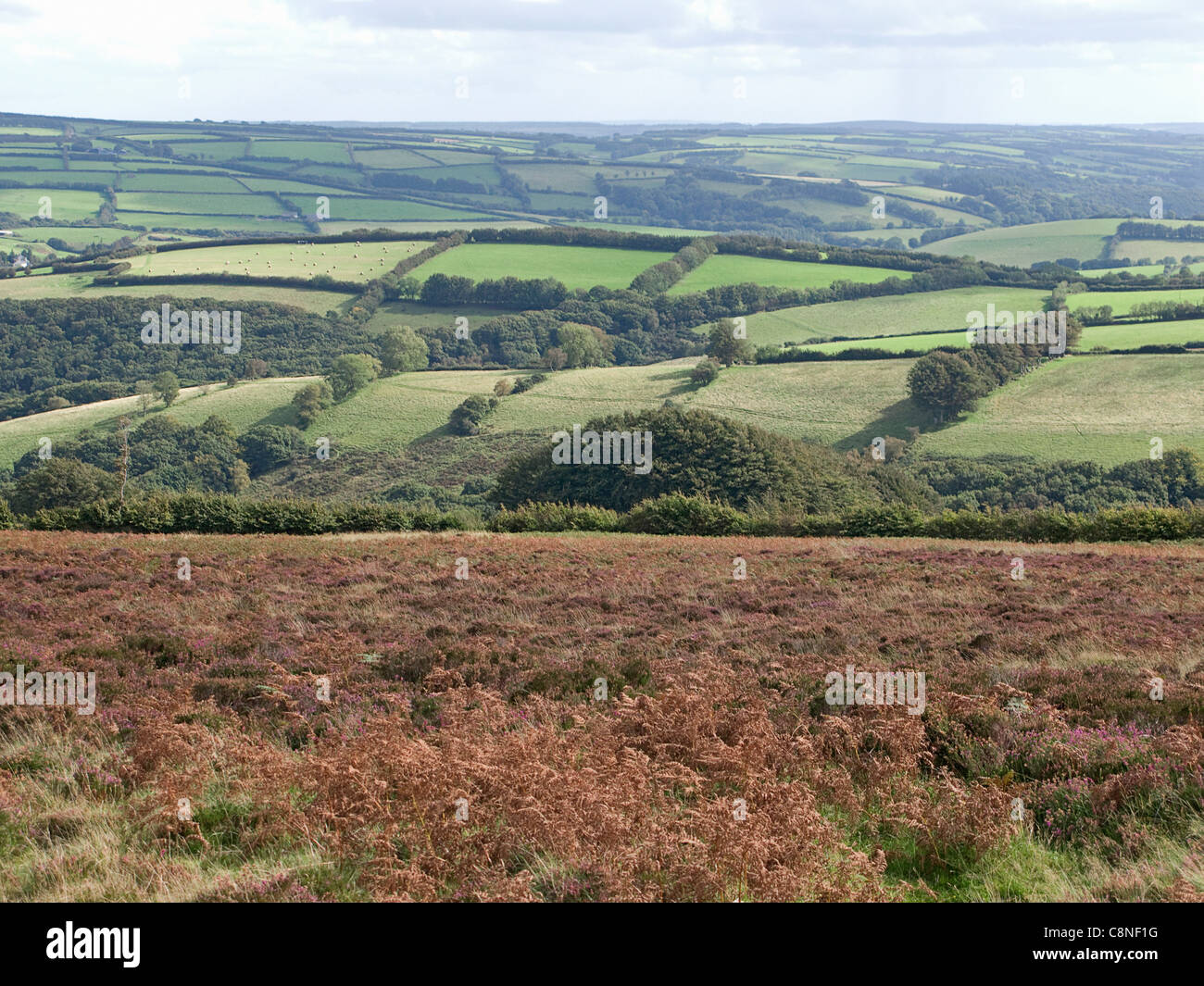 Great Britain, England, Exmoor landscape Stock Photo - Alamy