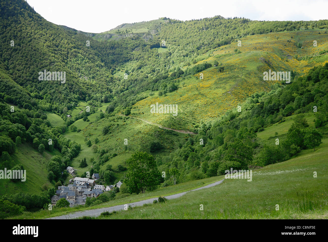 France, Pyrenees, Col d'Aspin, village in green valley Stock Photo - Alamy