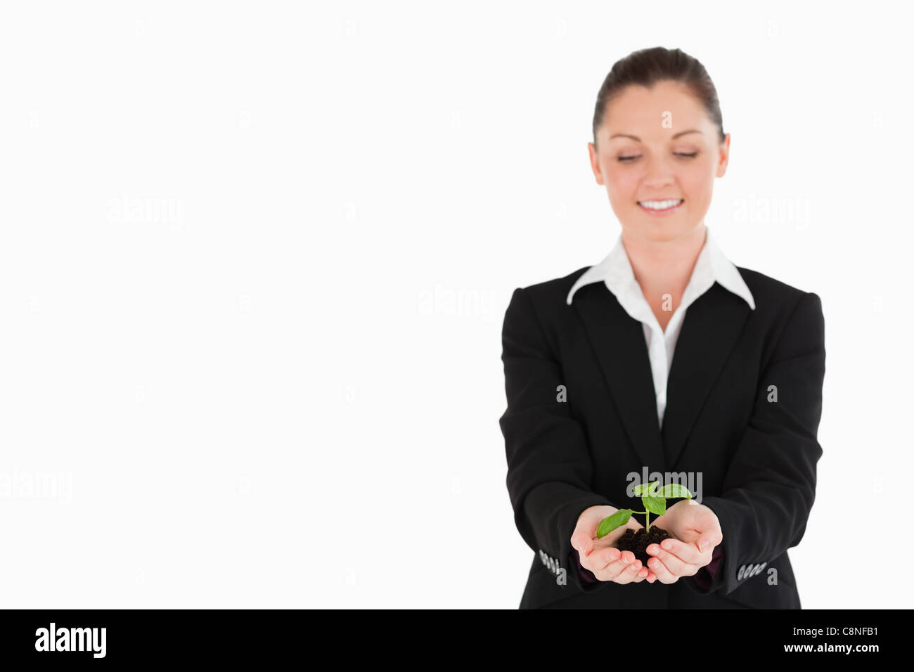 Hand holding cute small Cut Out Stock Images & Pictures - Alamy