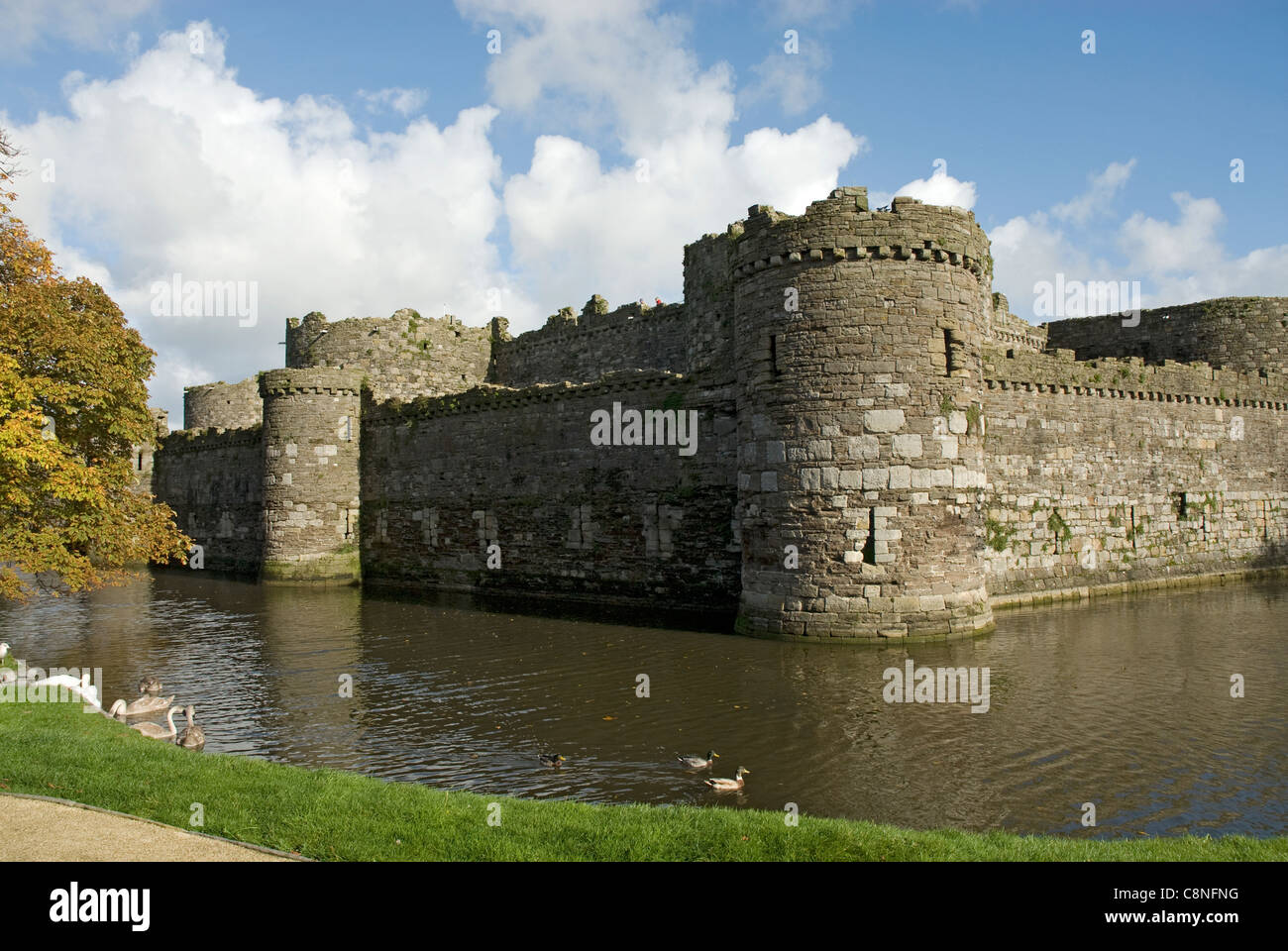 Great Britain, Wales, Anglesey, Beaumaris Castle, Moated castle Stock ...