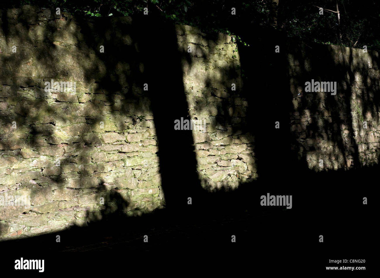 Shadow of trees falling on stone wall hi-res stock photography and ...