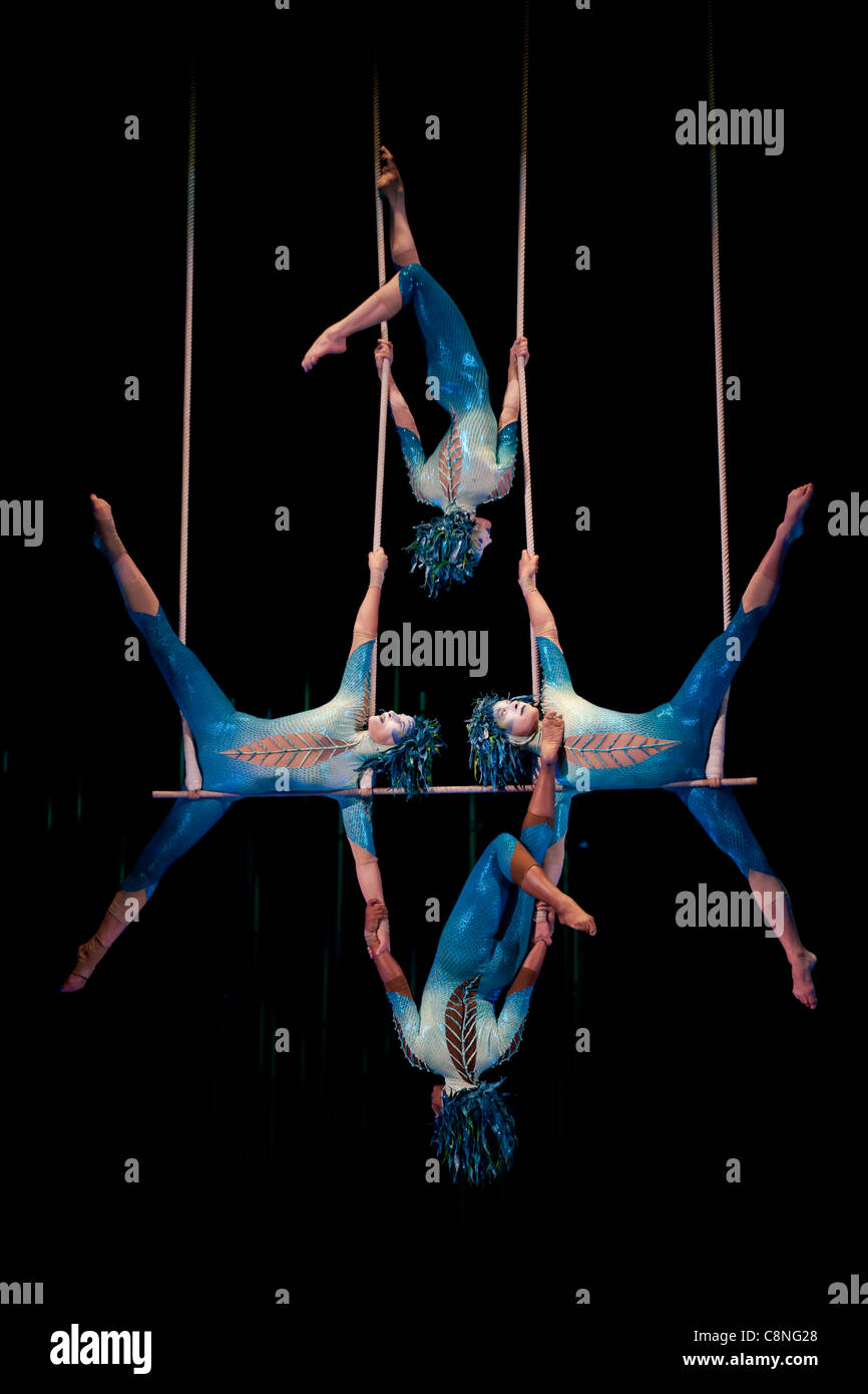 Trapeze Flyer Silhouette