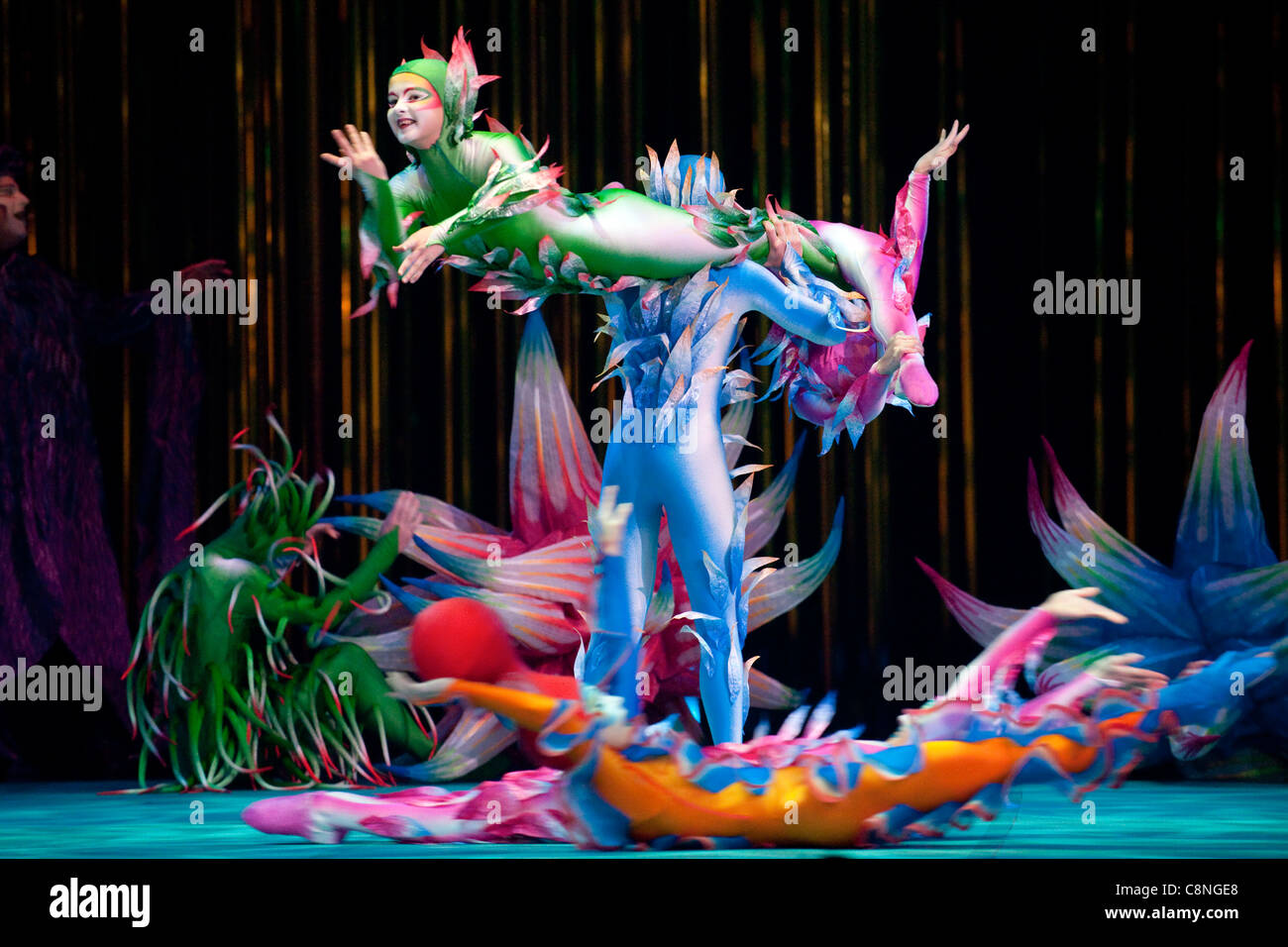 Cirque du Soleil perform "Varekai" at the Royal Albert Hall, London ...
