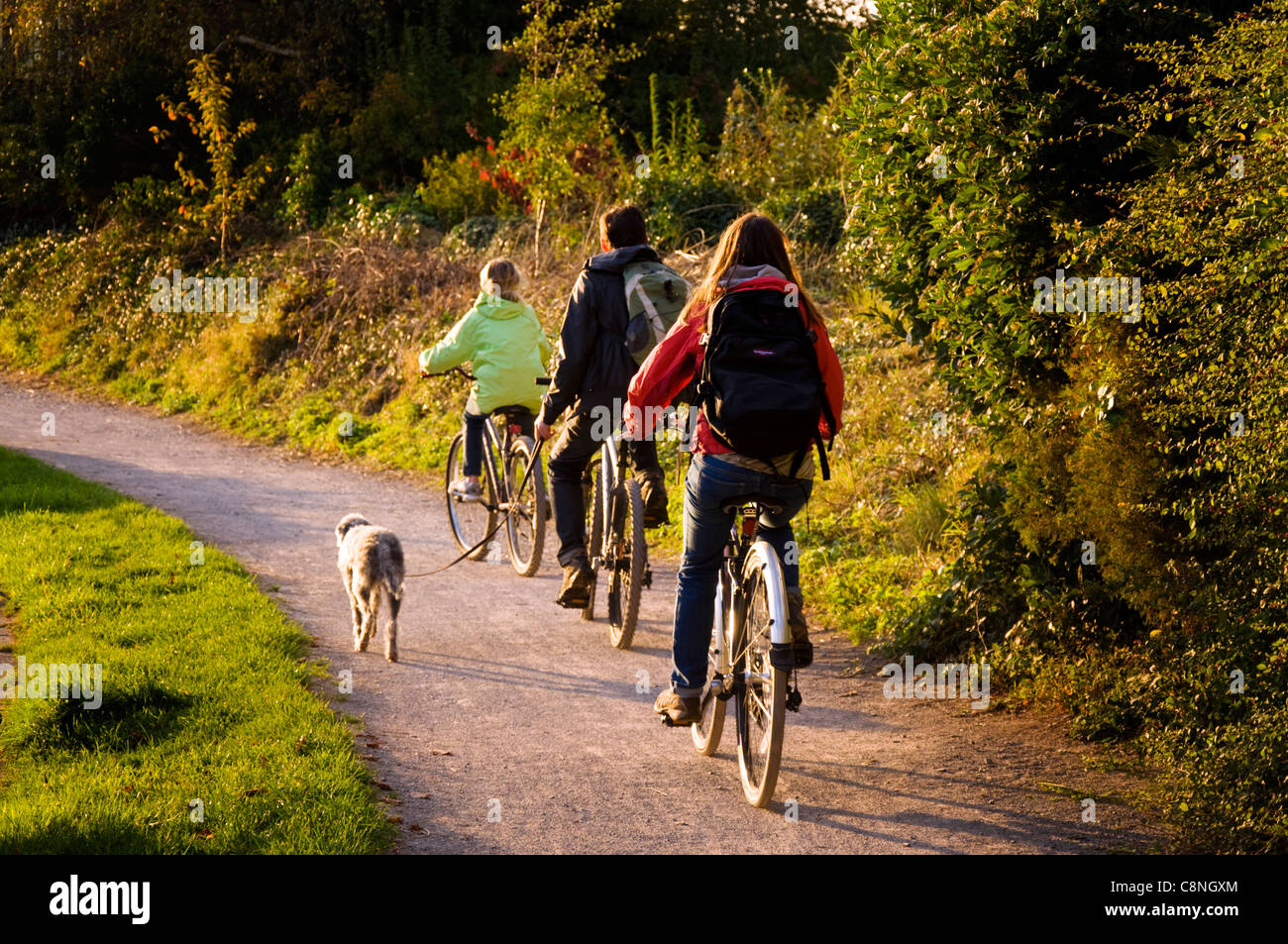 Cycling with dog hi-res stock photography and images - Alamy