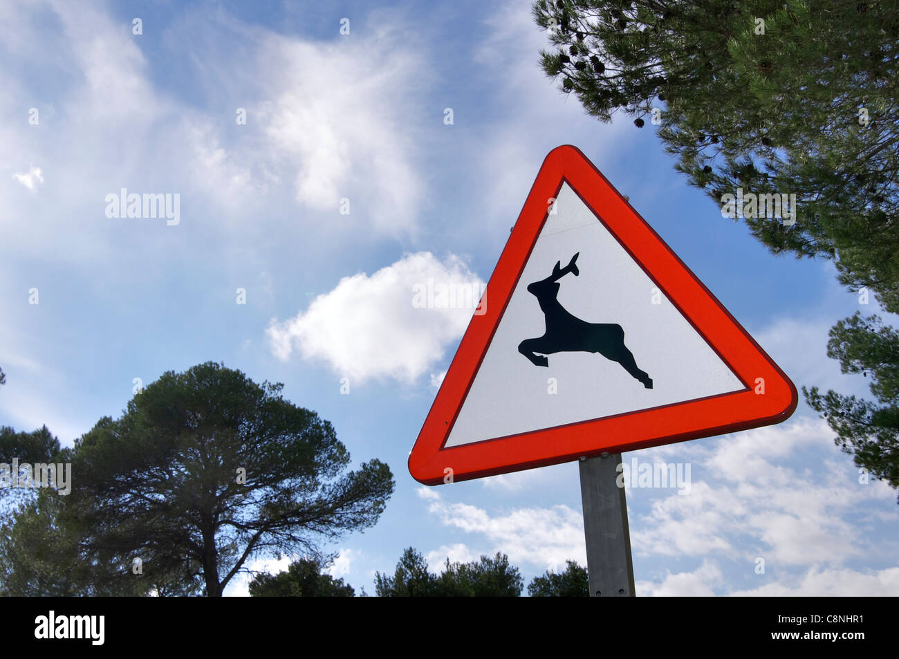 Moose deer sign traffic road hi-res stock photography and images - Alamy