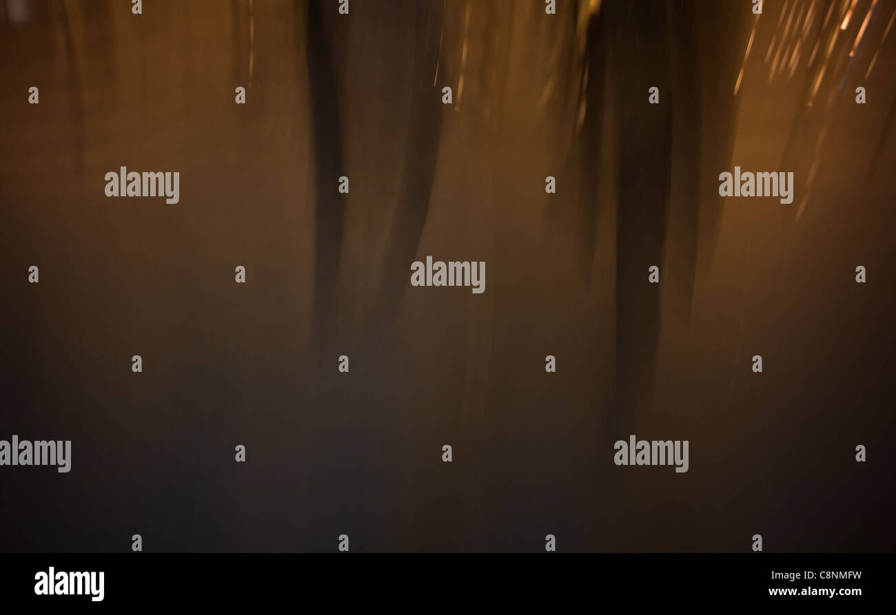 Back Trip the shadows Stock Photo - Alamy