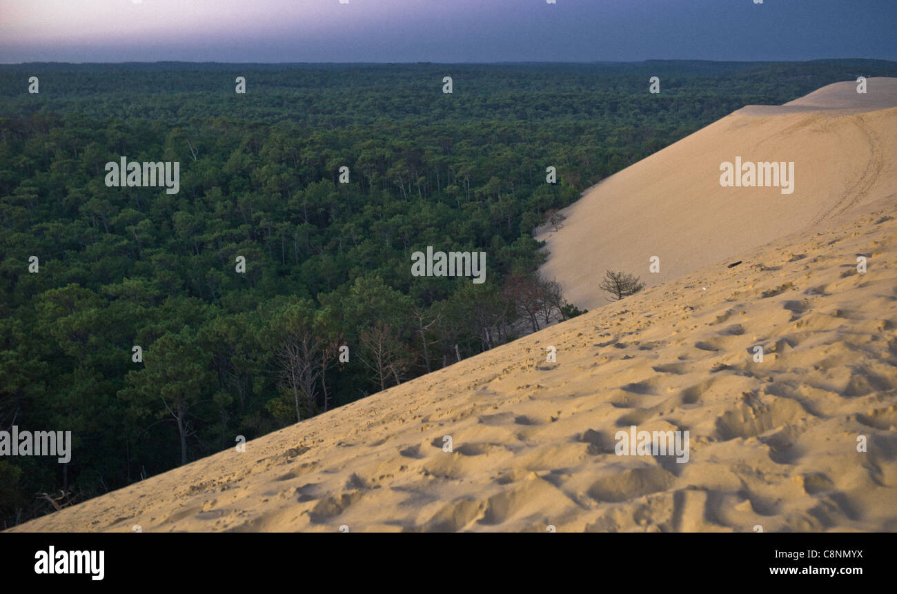 the beach Dune du Pyla in Arcachon Stock Photo - Alamy