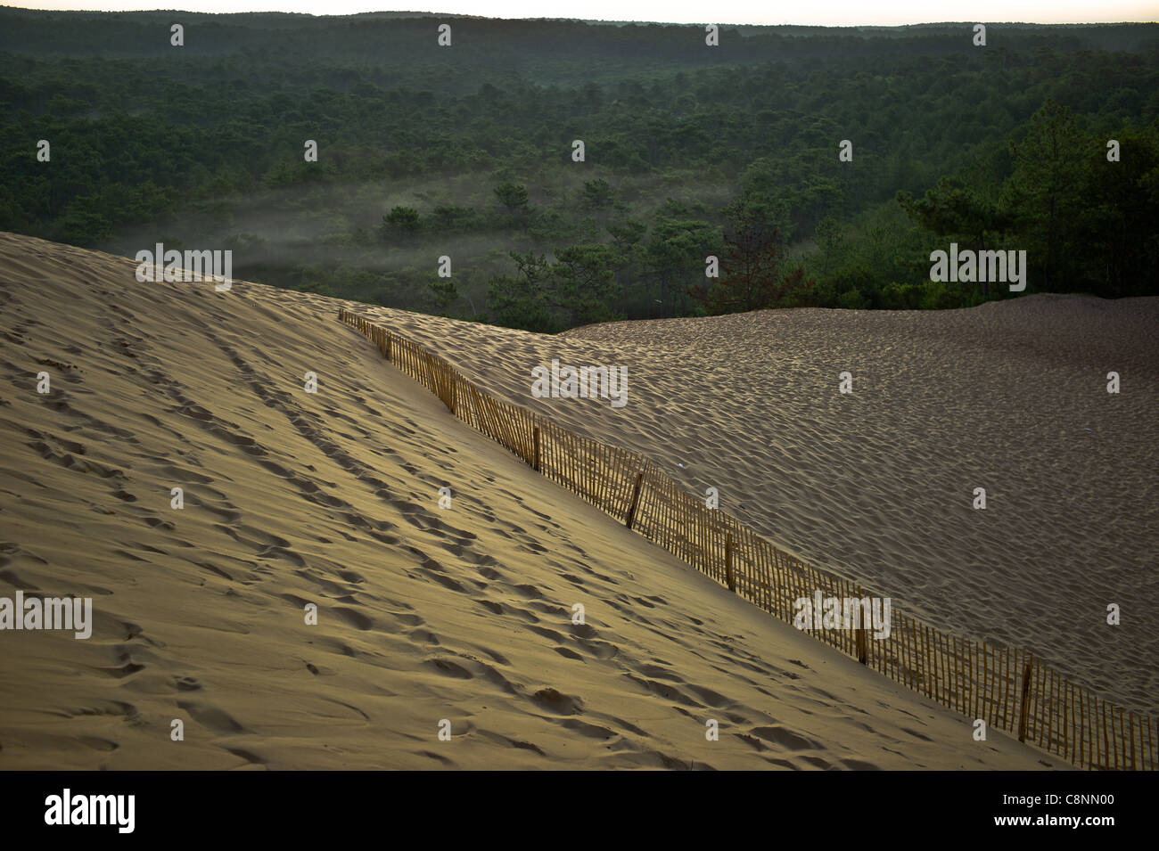 the beach Dune du Pyla in Arcachon Stock Photo - Alamy