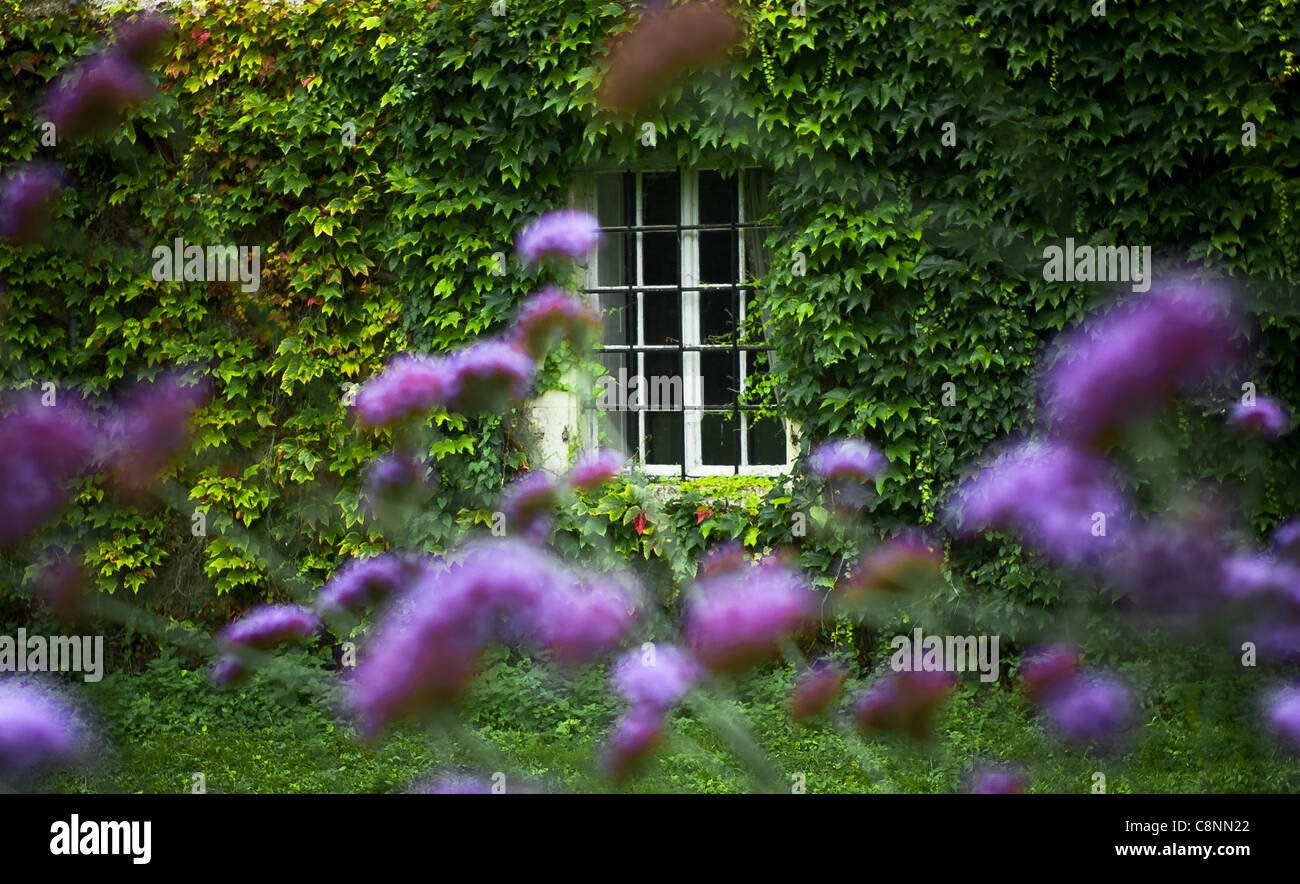 The Countryside the Window Stock Photo - Alamy