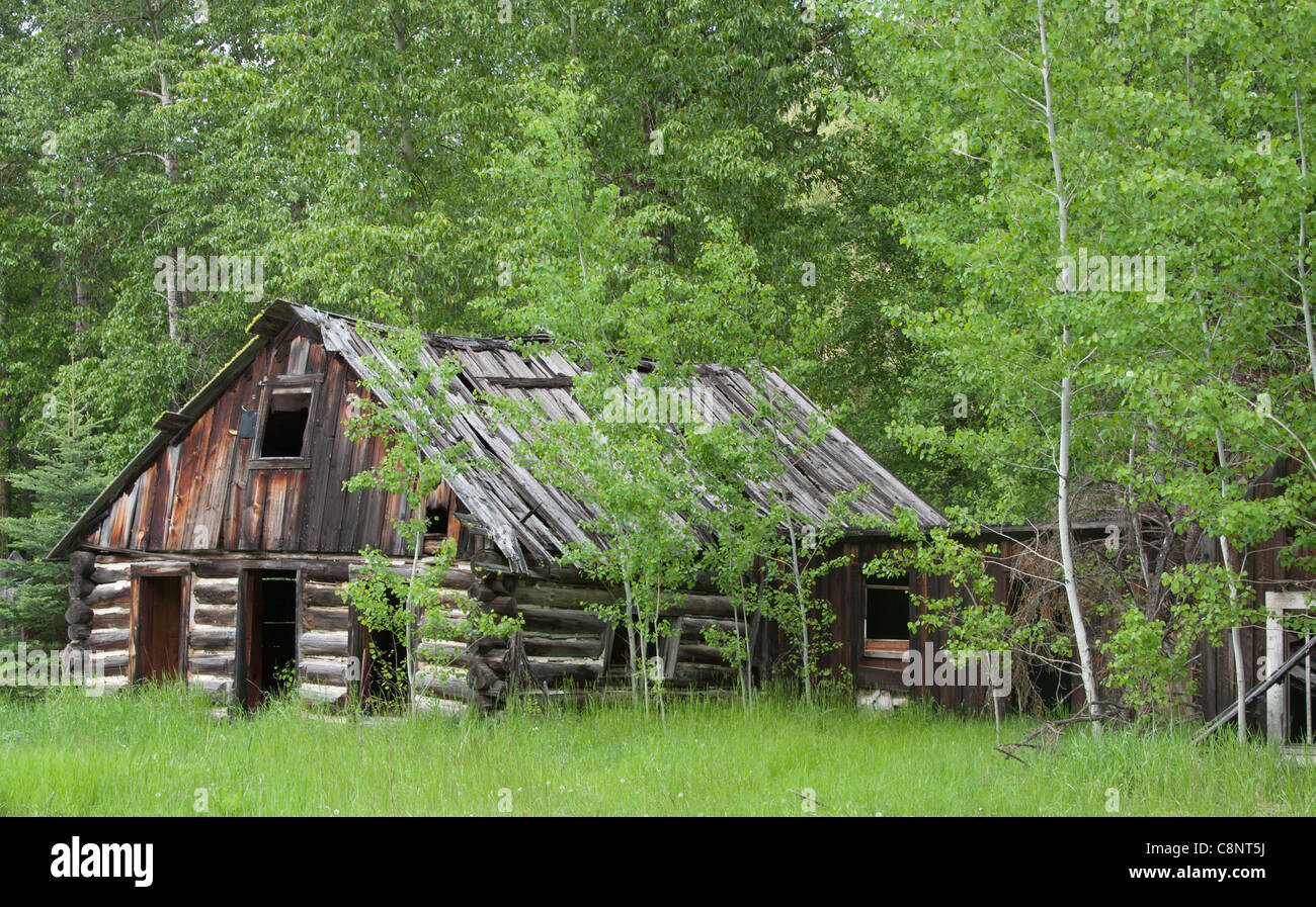Old log cabin hi-res stock photography and images - Alamy