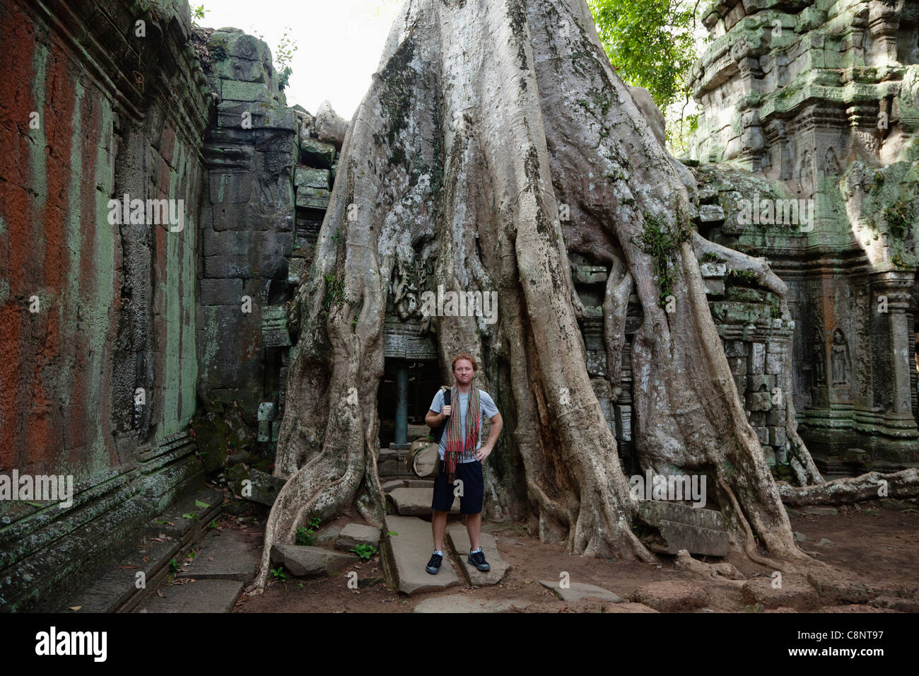 Caucasian man standing by large tree roots in ruins Stock Photo - Alamy